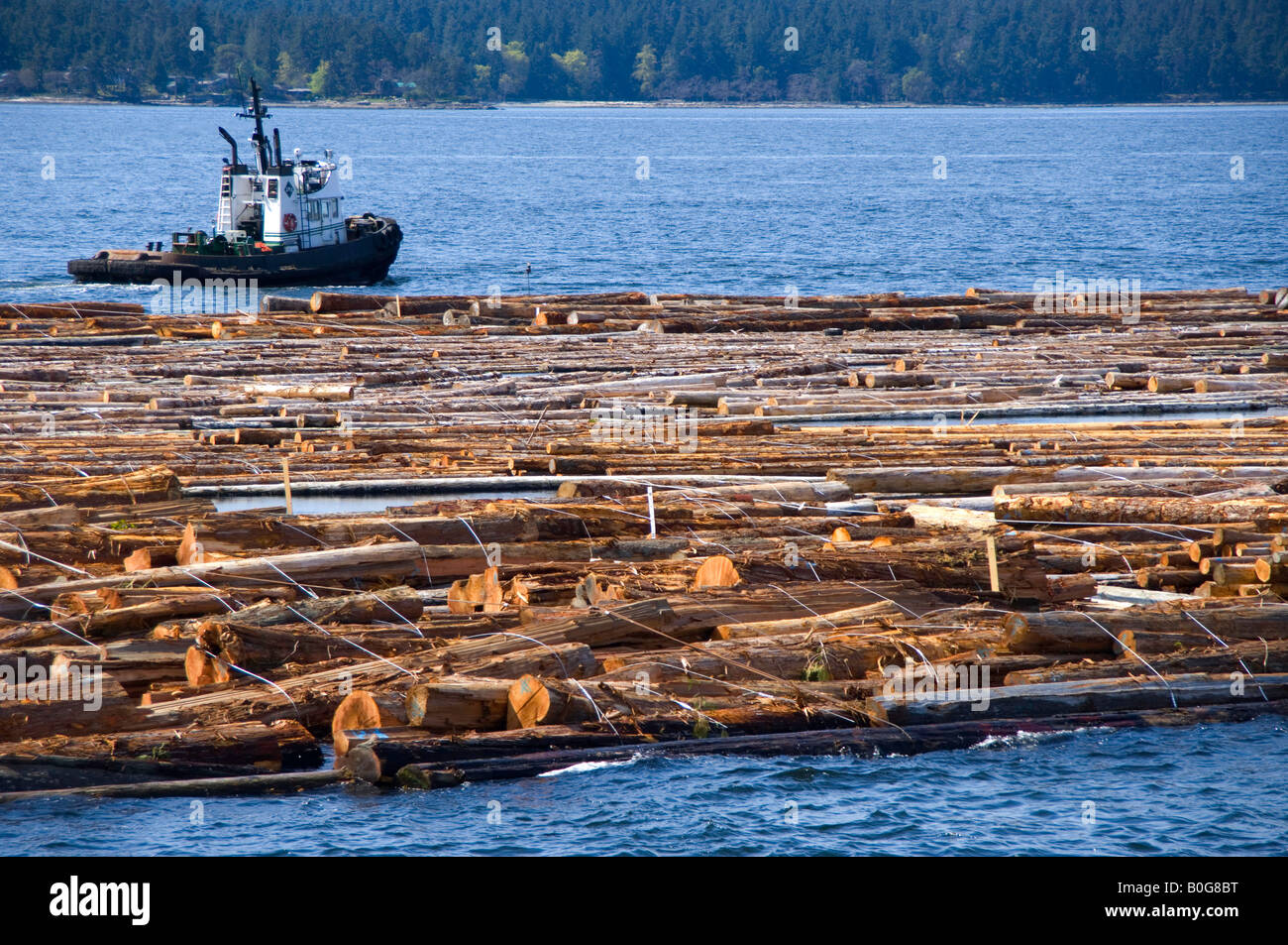 Lumber raft canada hi-res stock photography and images - Alamy