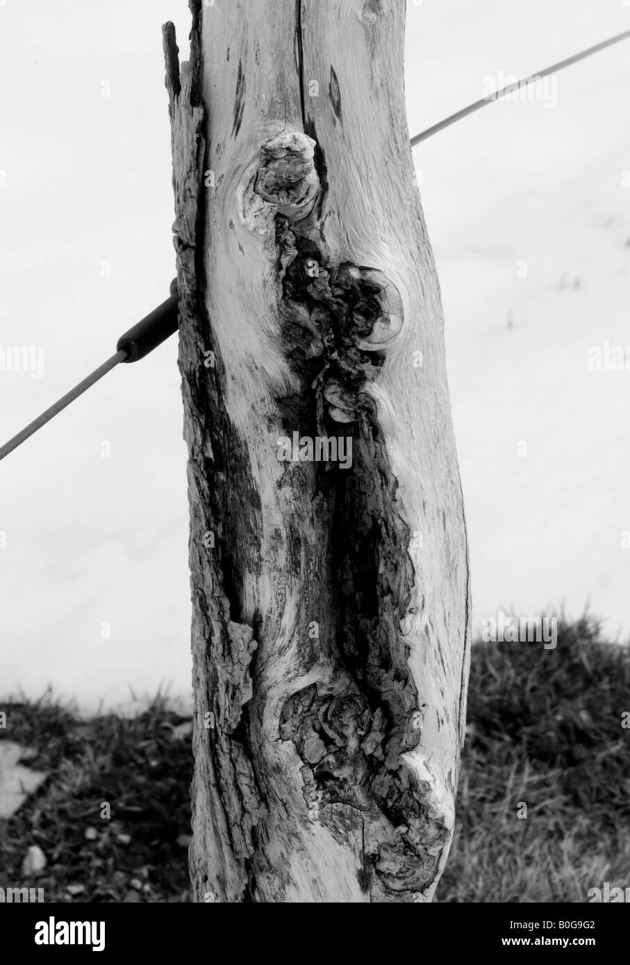 Weathered fence post Stock Photo - Alamy