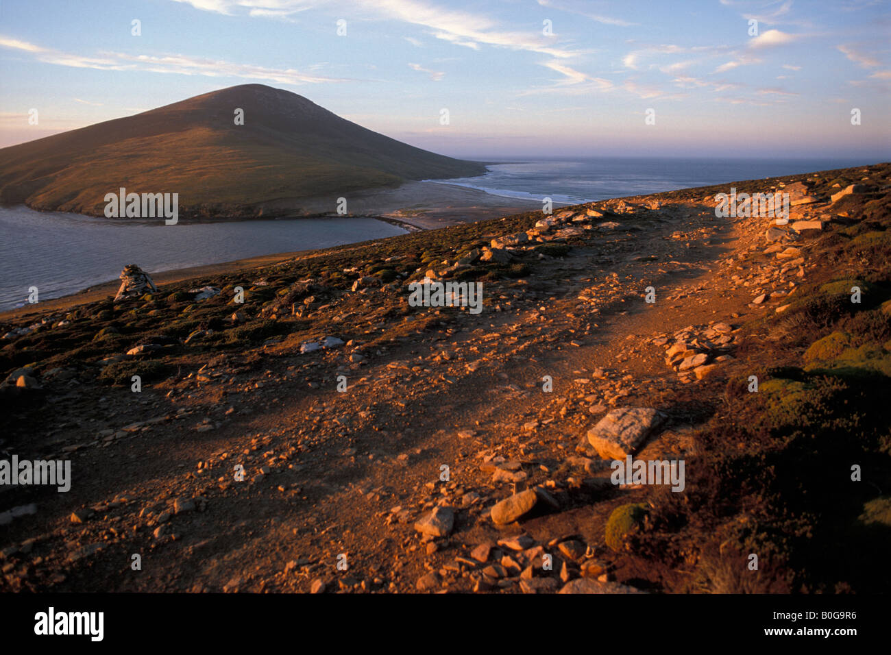 Gravel road leading to penguin and albatross viewing area on Saunders ...