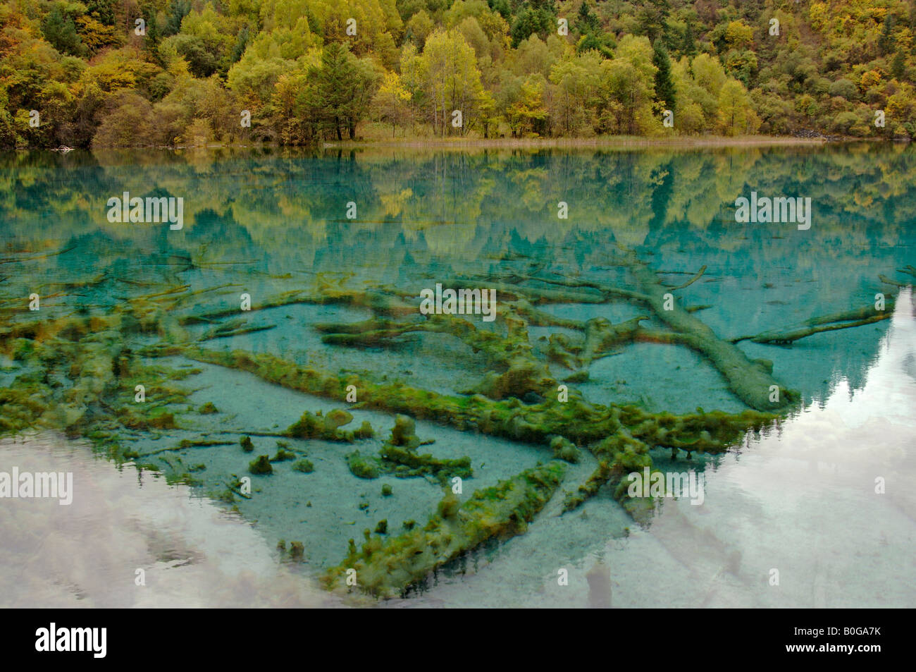 Five flower lake hi-res stock photography and images - Alamy