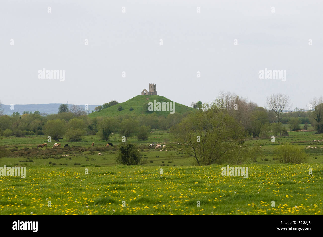 Burrow Mump, Burrowbridge, on the Somerset Level, Somerset, England ...