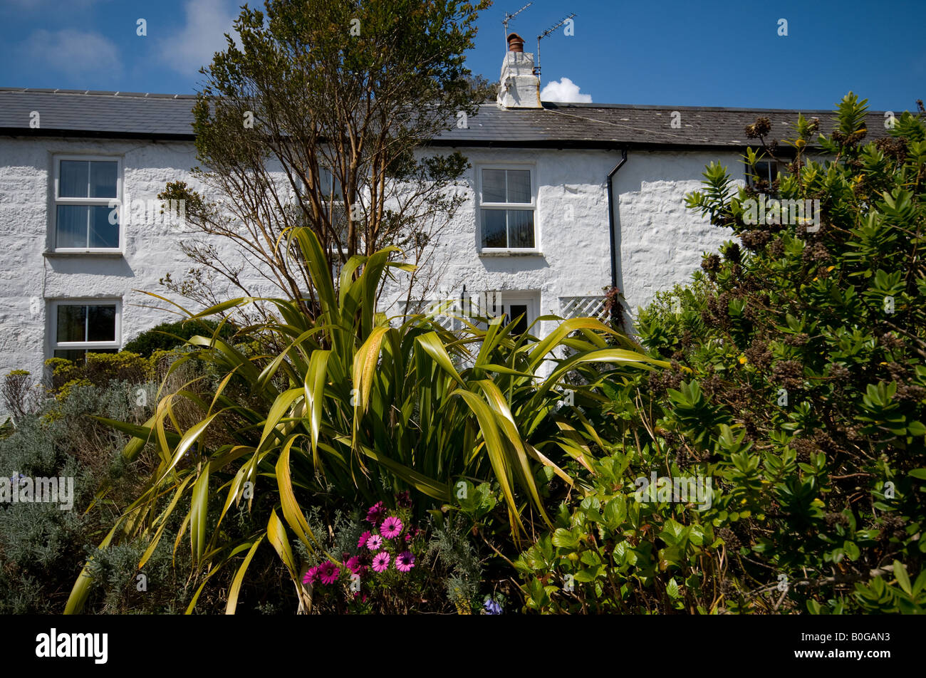 Cornwall cottage view hi-res stock photography and images - Alamy