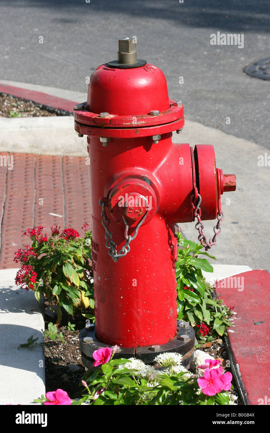 Key West fire hydrant Stock Photo - Alamy
