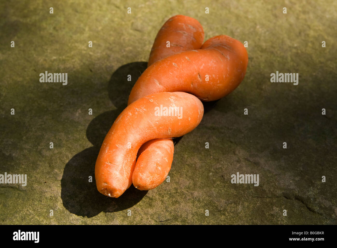 Odd shaped carrots hi-res stock photography and images - Alamy