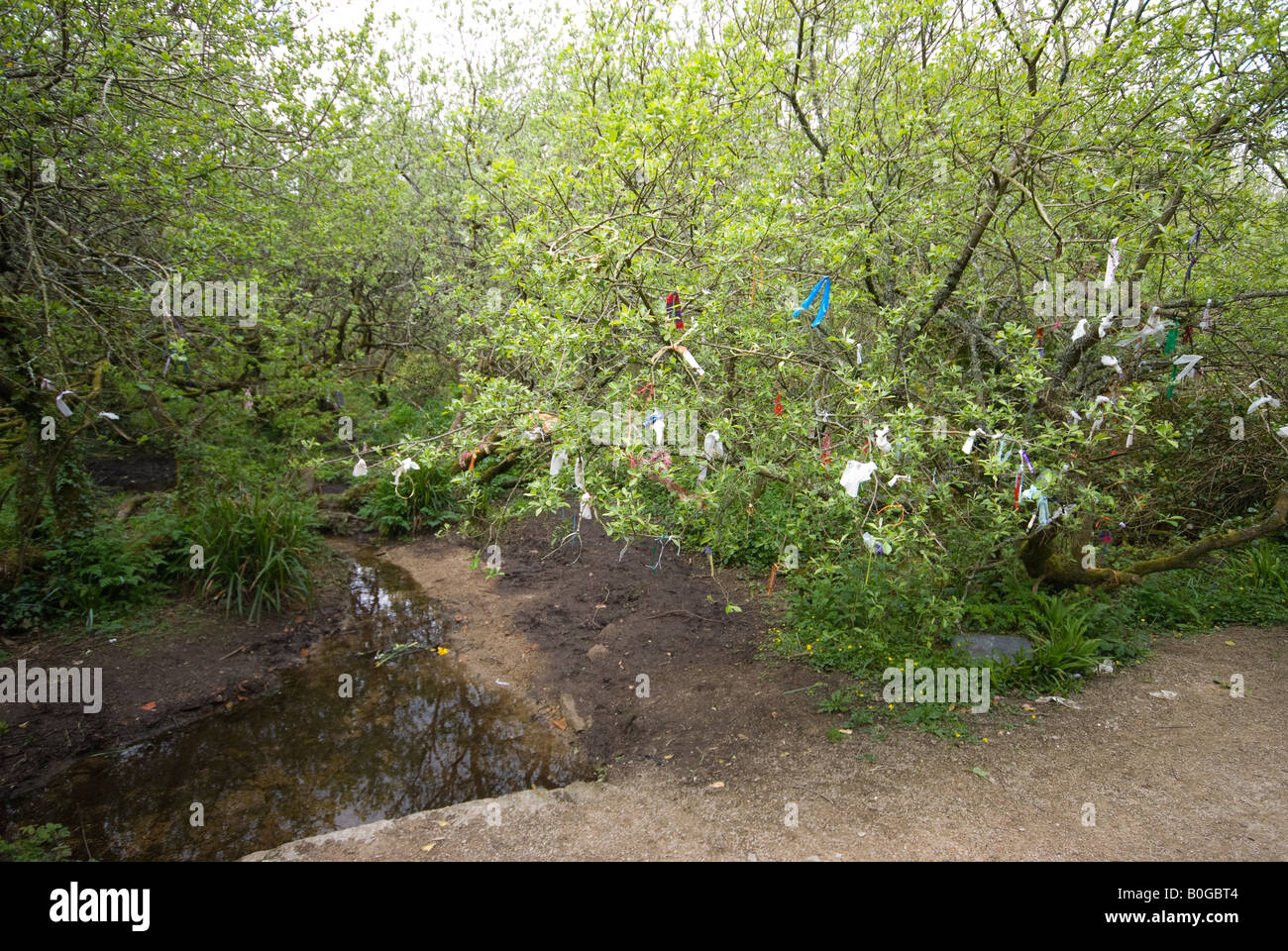 Holy Wishing Well at Madron, Cornwall, England, UK Stock Photo - Alamy