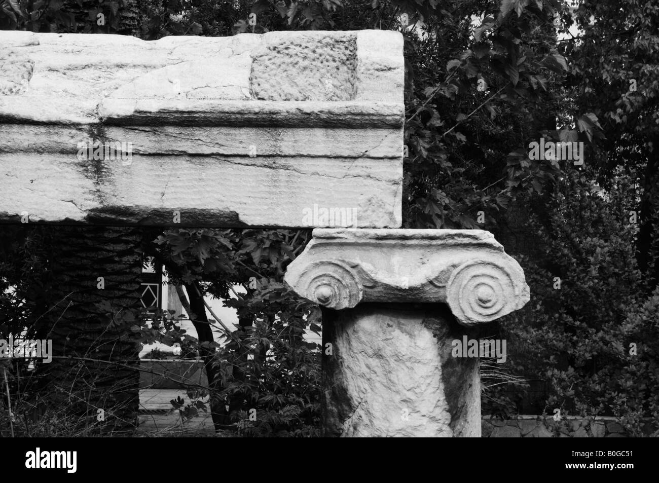 view of ionian column Stock Photo - Alamy