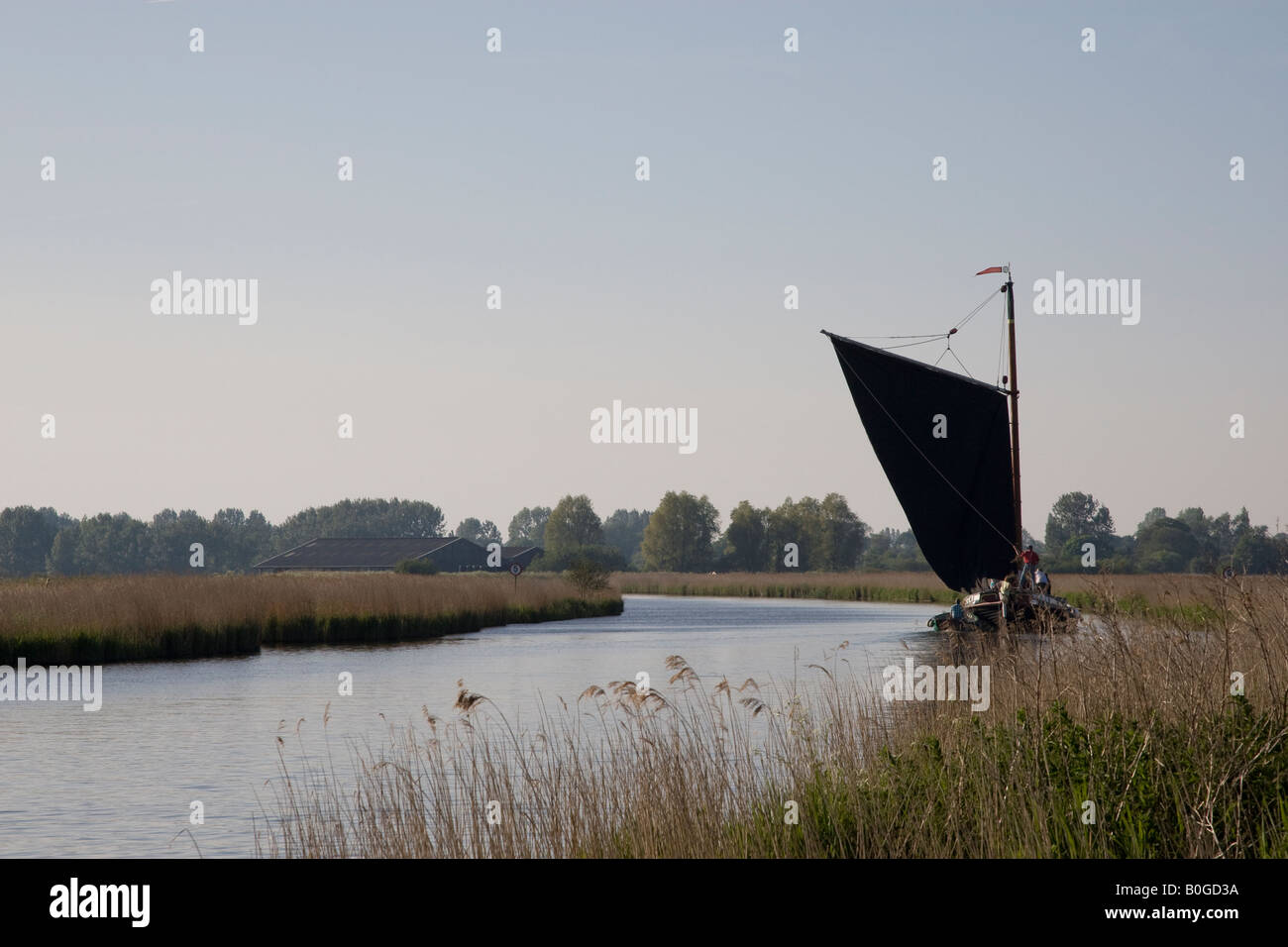Wherry Albion sailing Stock Photo - Alamy
