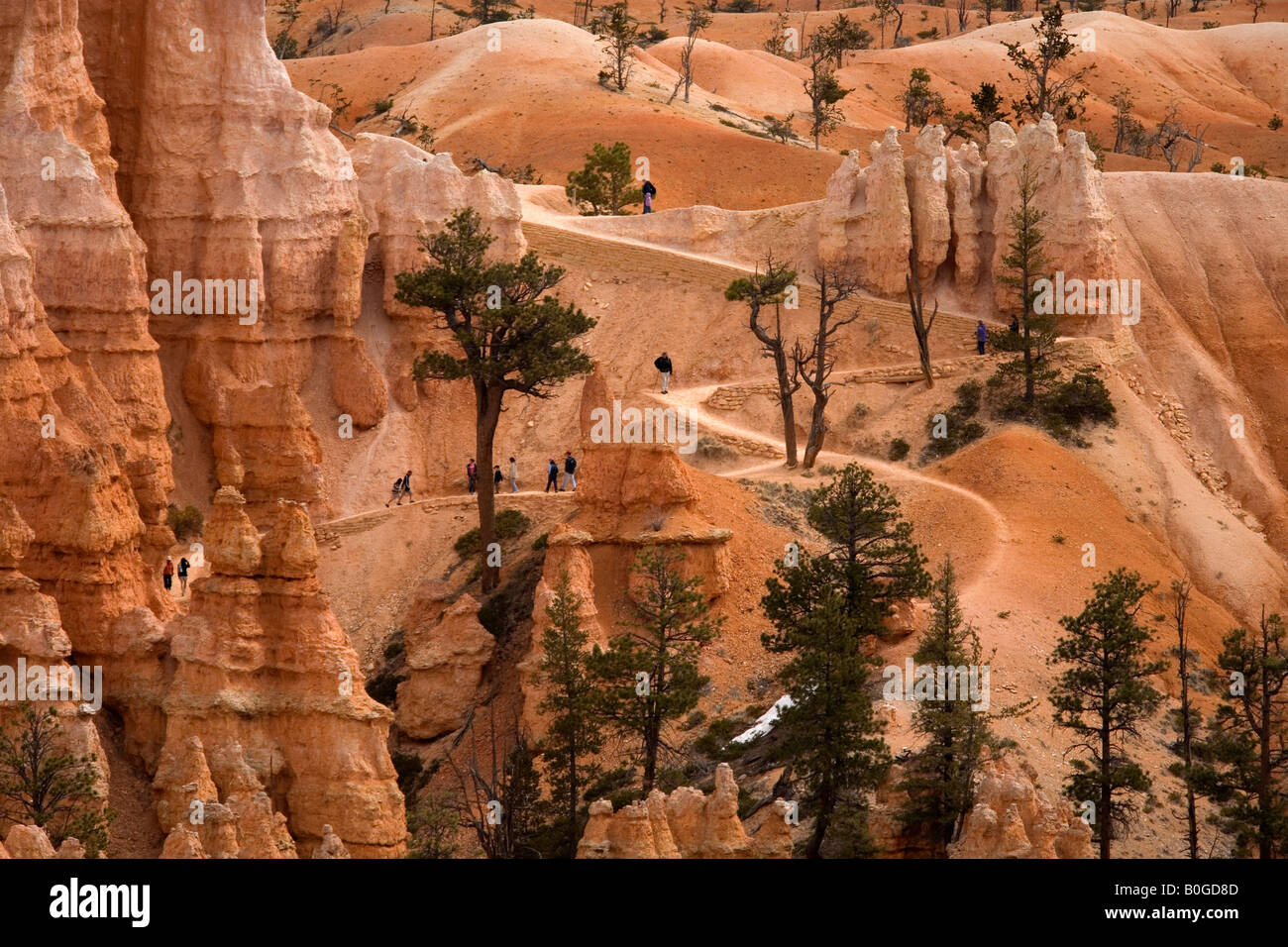 Hiking in Bruce Canyon National Park, Utah Stock Photo - Alamy