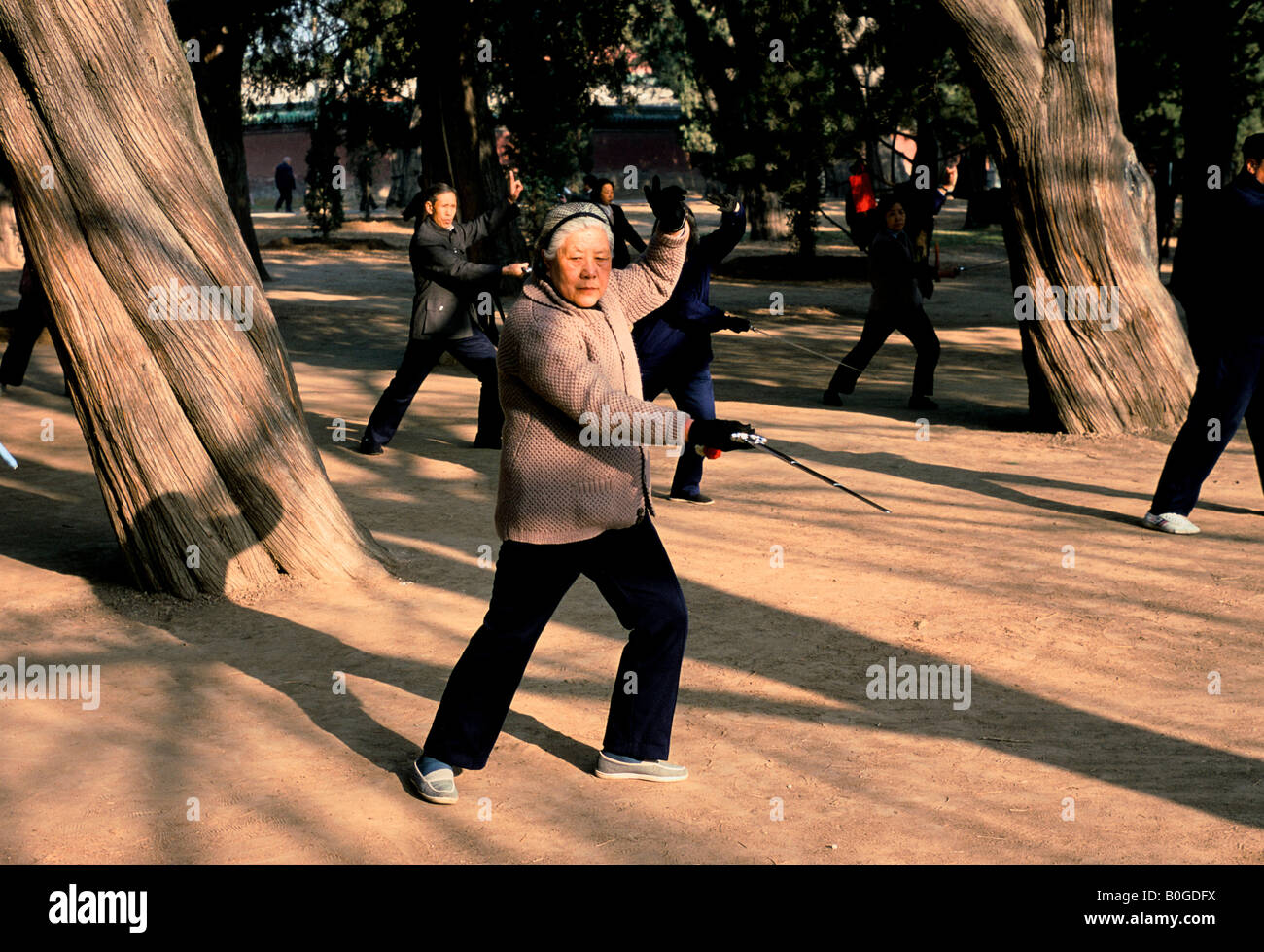 People practicing martial arts in a park, China Stock Photo - Alamy