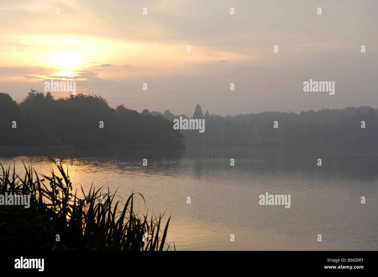 Fritton hi-res stock photography and images - Alamy