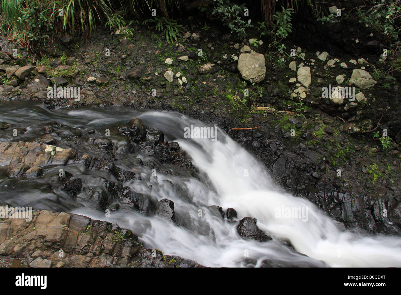 Auckland waterfall hi-res stock photography and images - Alamy