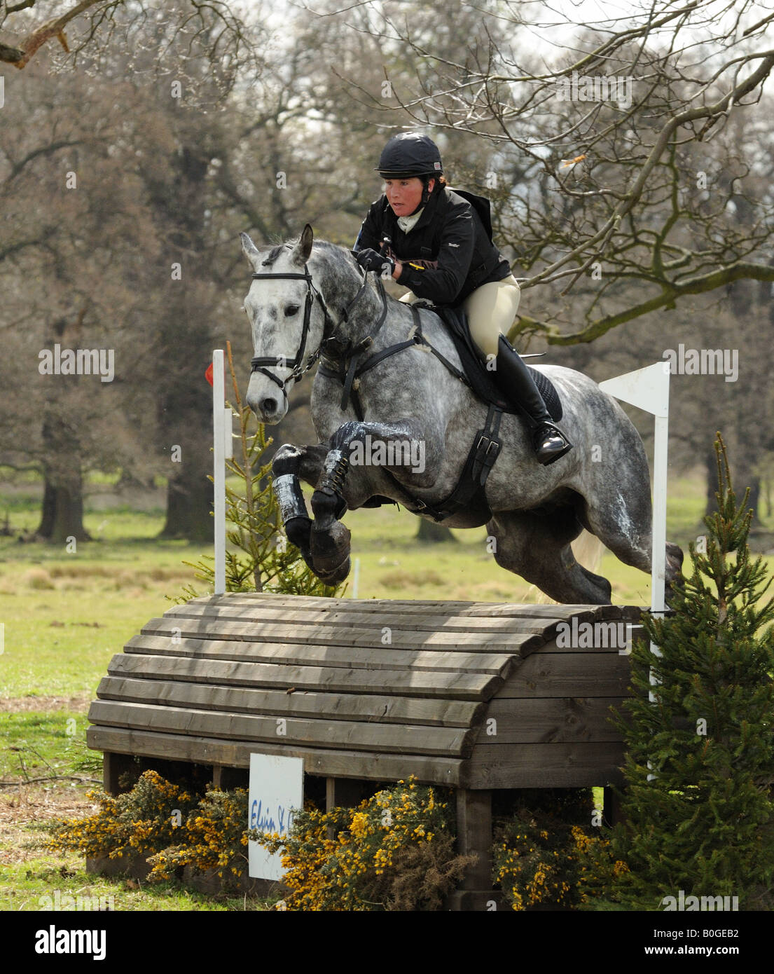 Eventing equestrian equine grey rider cross country hi-res stock ...