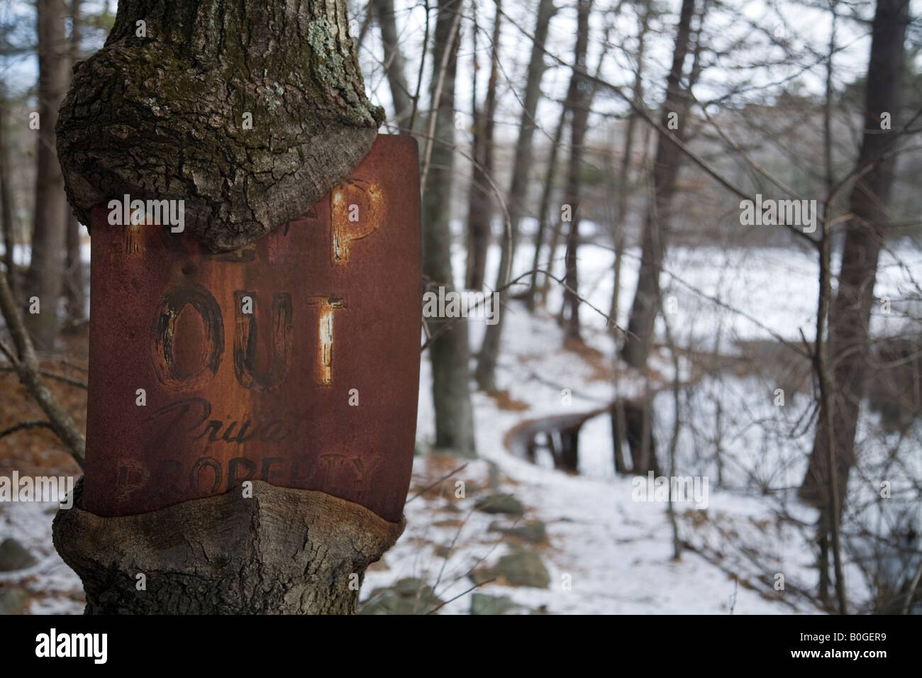 Close up photograph of a keep out sign that the tree has grown around ...