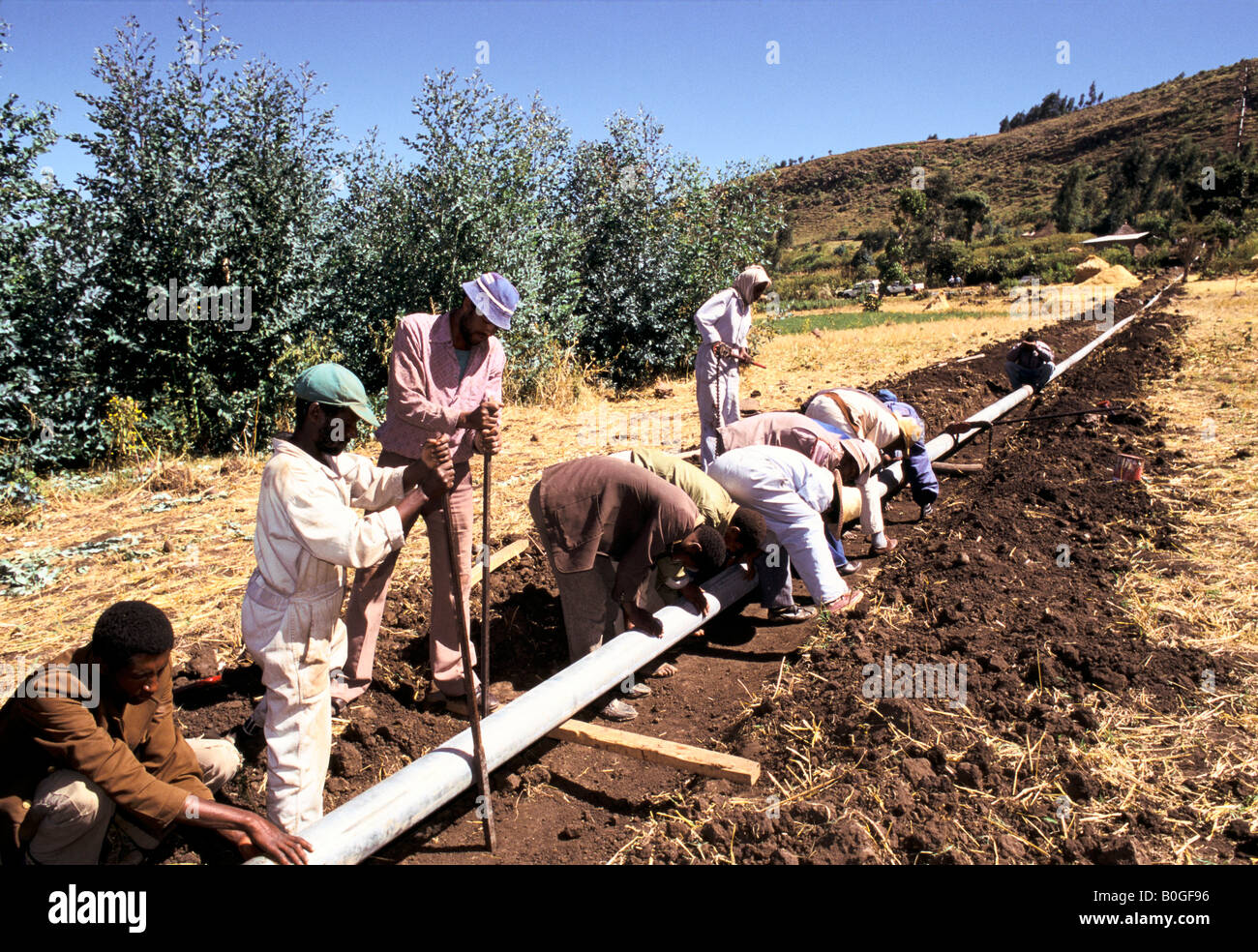 Villagers and technicians laying water pipeline, Hitosa, Ethiopia Stock ...