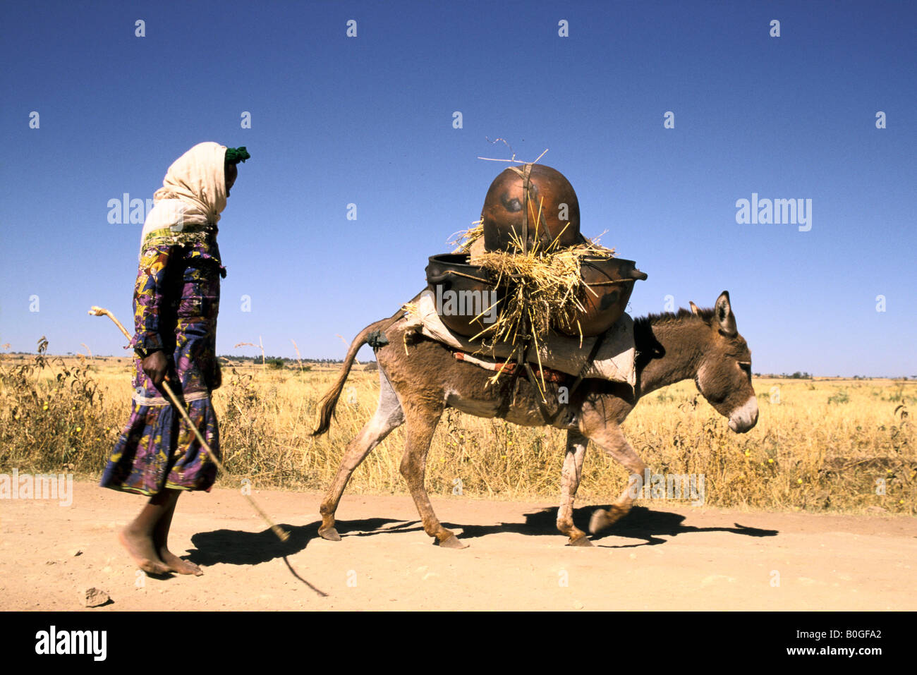 A woman taking water pots to market, Hitosa, Ethiopia Stock Photo - Alamy