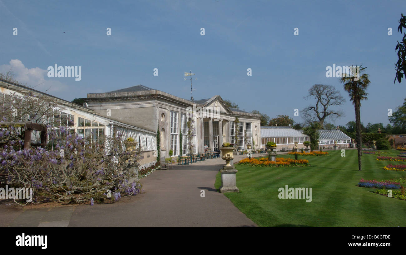 The Orangery at Bicton Botanical Gardens Exeter Devon UK Stock Photo ...