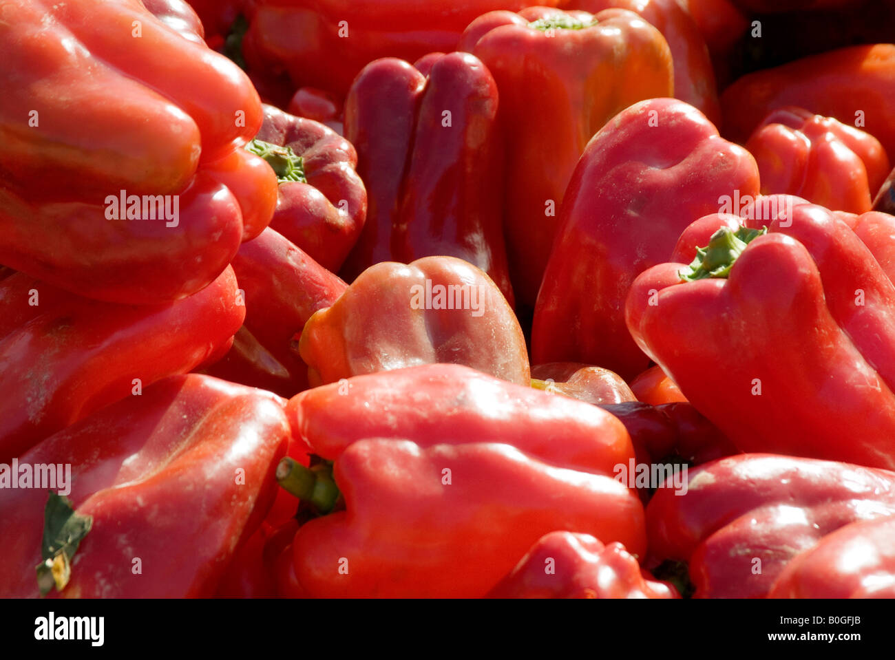 bright red peppers bell food fresh crisp crunchy flavour taste fruit ...