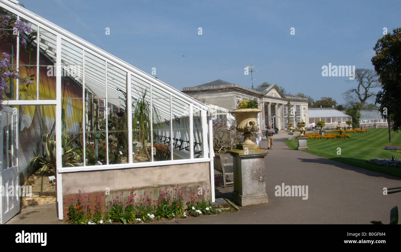 Bicton devon hi-res stock photography and images - Alamy