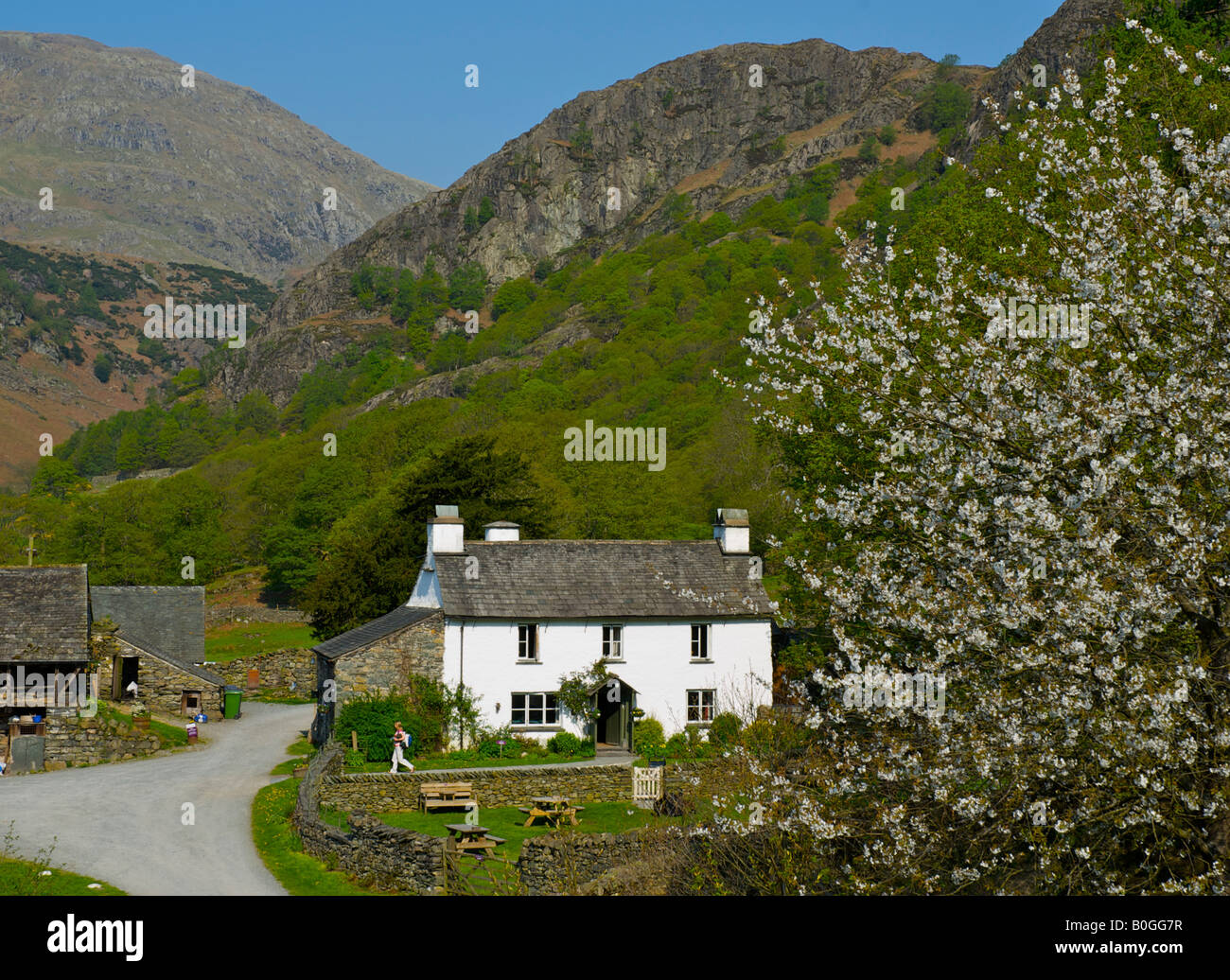 Yew tree farm uk hi-res stock photography and images - Alamy