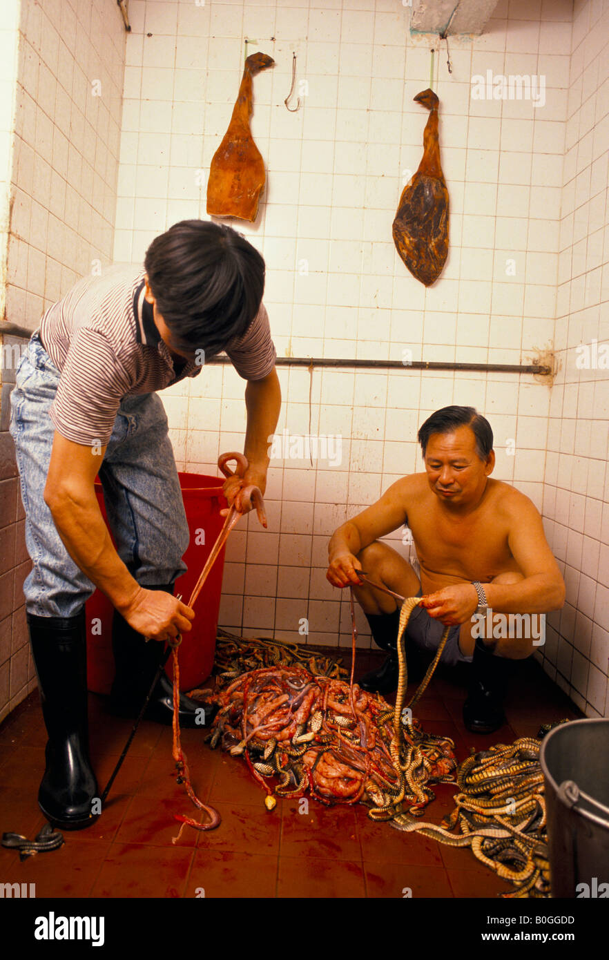 Snake meat hi-res stock photography and images - Alamy