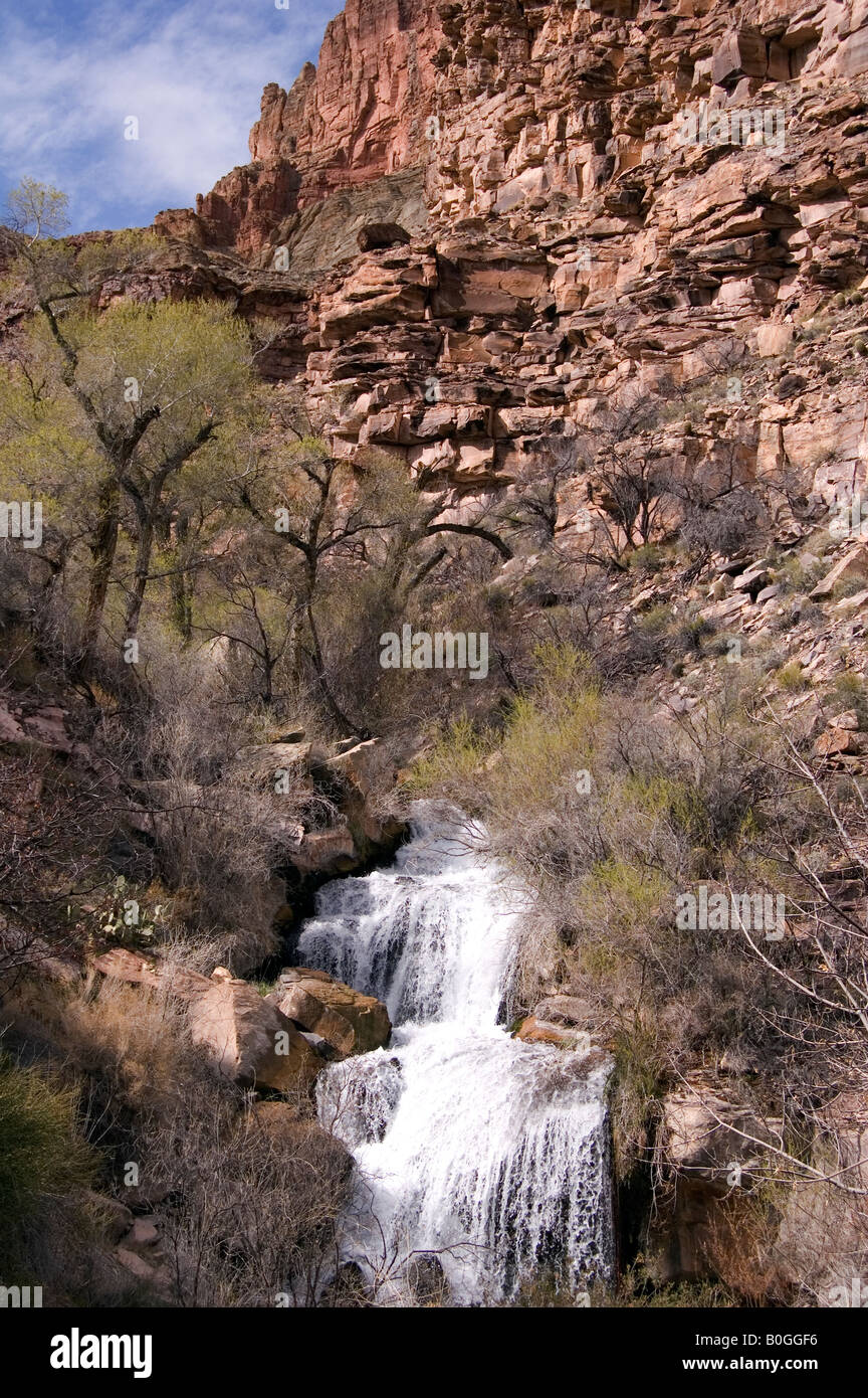 Stream flowing through canyon, Grand Canyon, United States Stock Photo ...