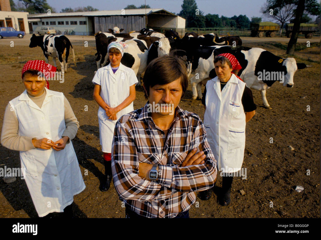The staff at a dairy farm, Hungary Stock Photo - Alamy