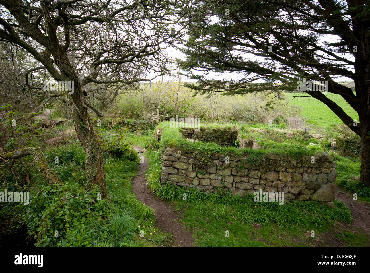 Ancient Chapel at Madron, near Penzance, Cornwall, England, UK Stock ...