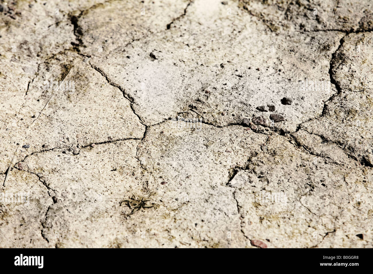 Long cracks hi-res stock photography and images - Alamy