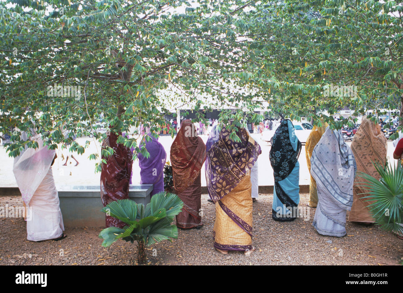 Women in traditional dress standing amongst the trees, Parumala, India ...