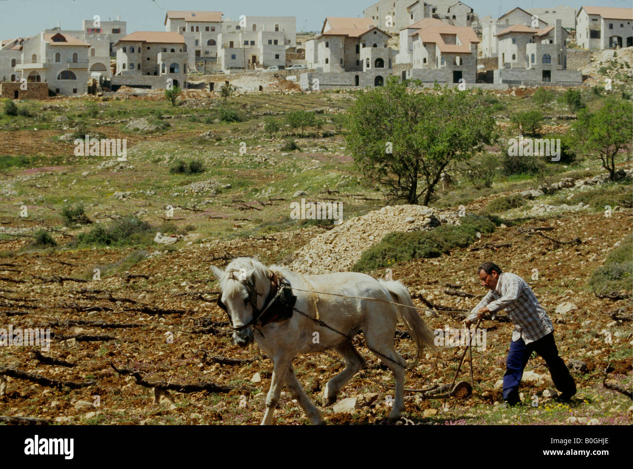 Palestinian farmer man hi-res stock photography and images - Alamy