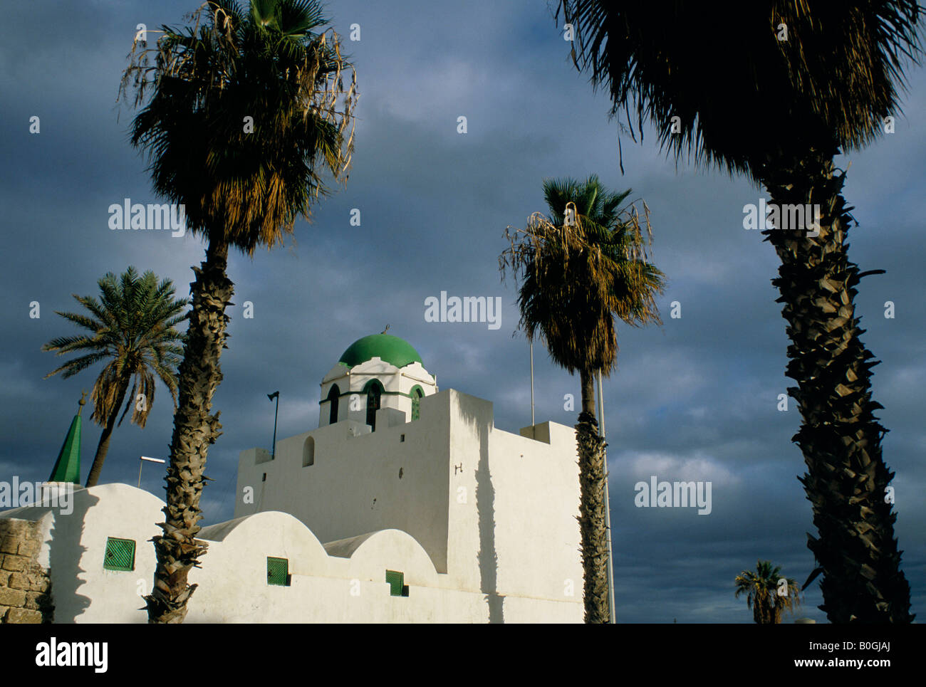 Palm trees outside the Sidi Wahab mosque, Tripoli, Libya Stock Photo ...
