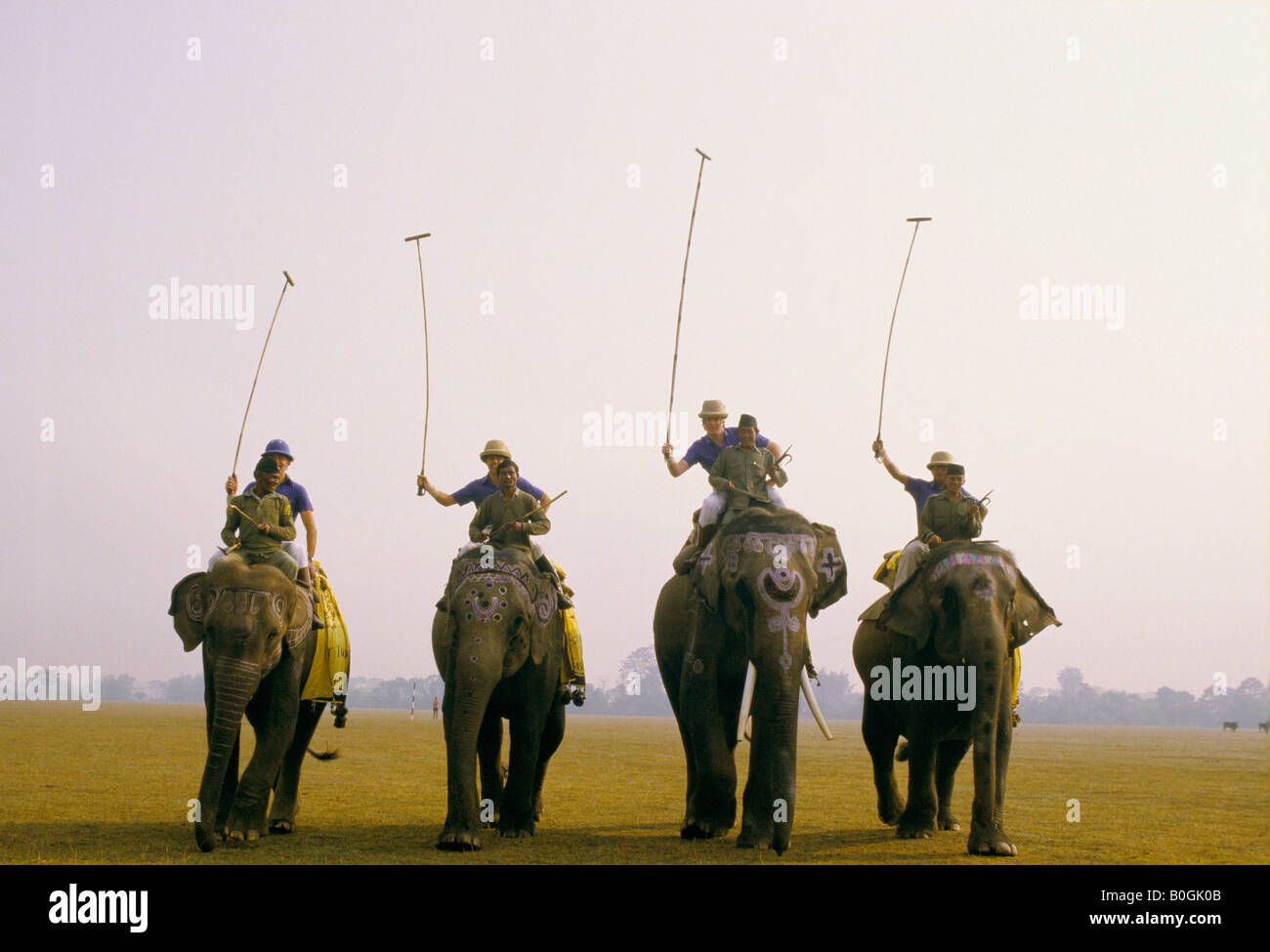 The British team playing elephant polo, Nepal Stock Photo - Alamy