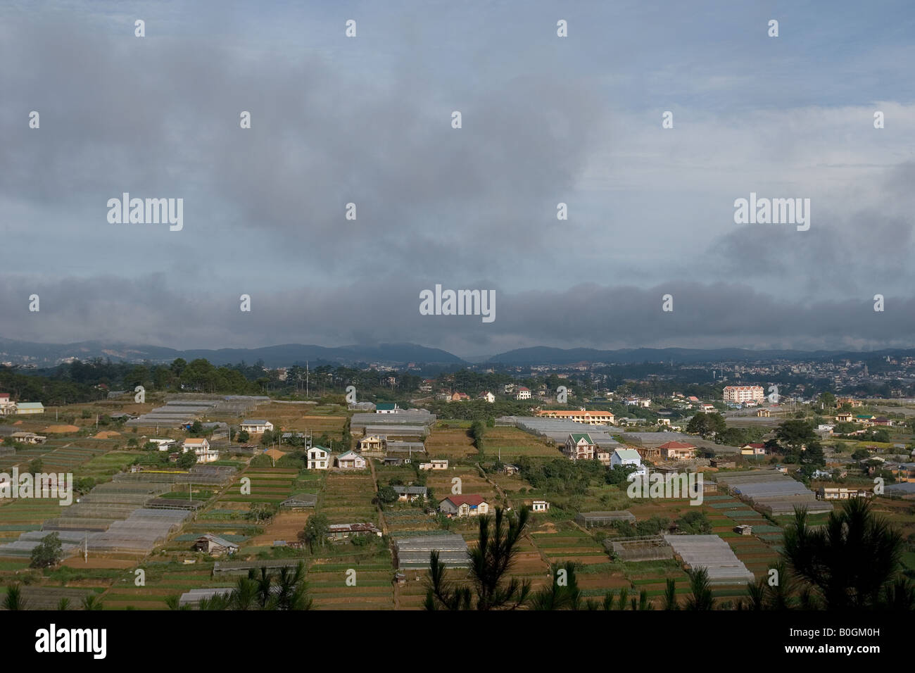 Vegetable Valley Community Stock Photo - Alamy