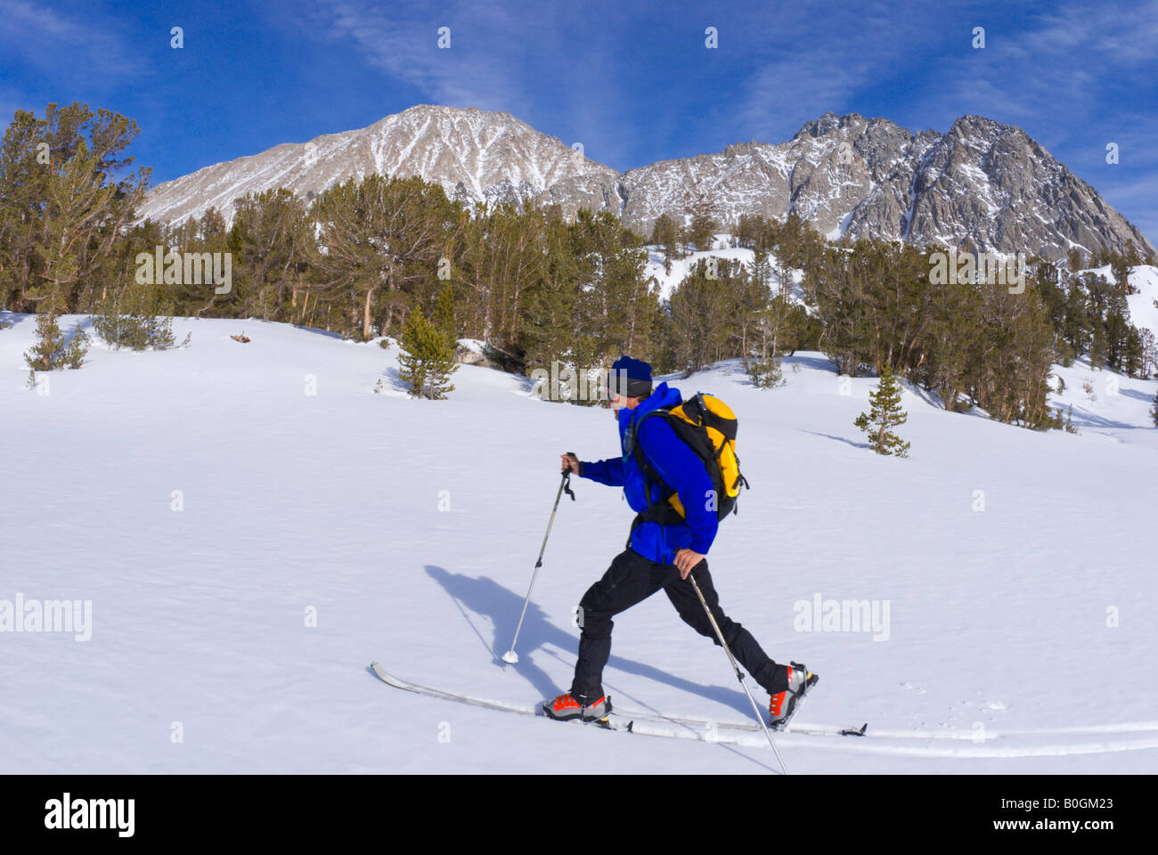 Backcountry skier in Little Lakes Valley John Muir Wilderness Sierra ...