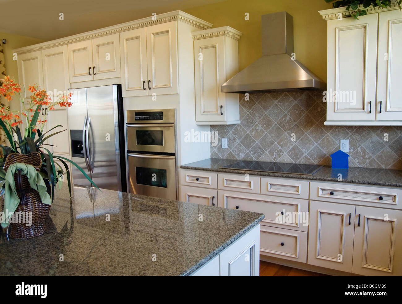 Kitchen luxury home deluxe remodel modern large hi-res stock ...