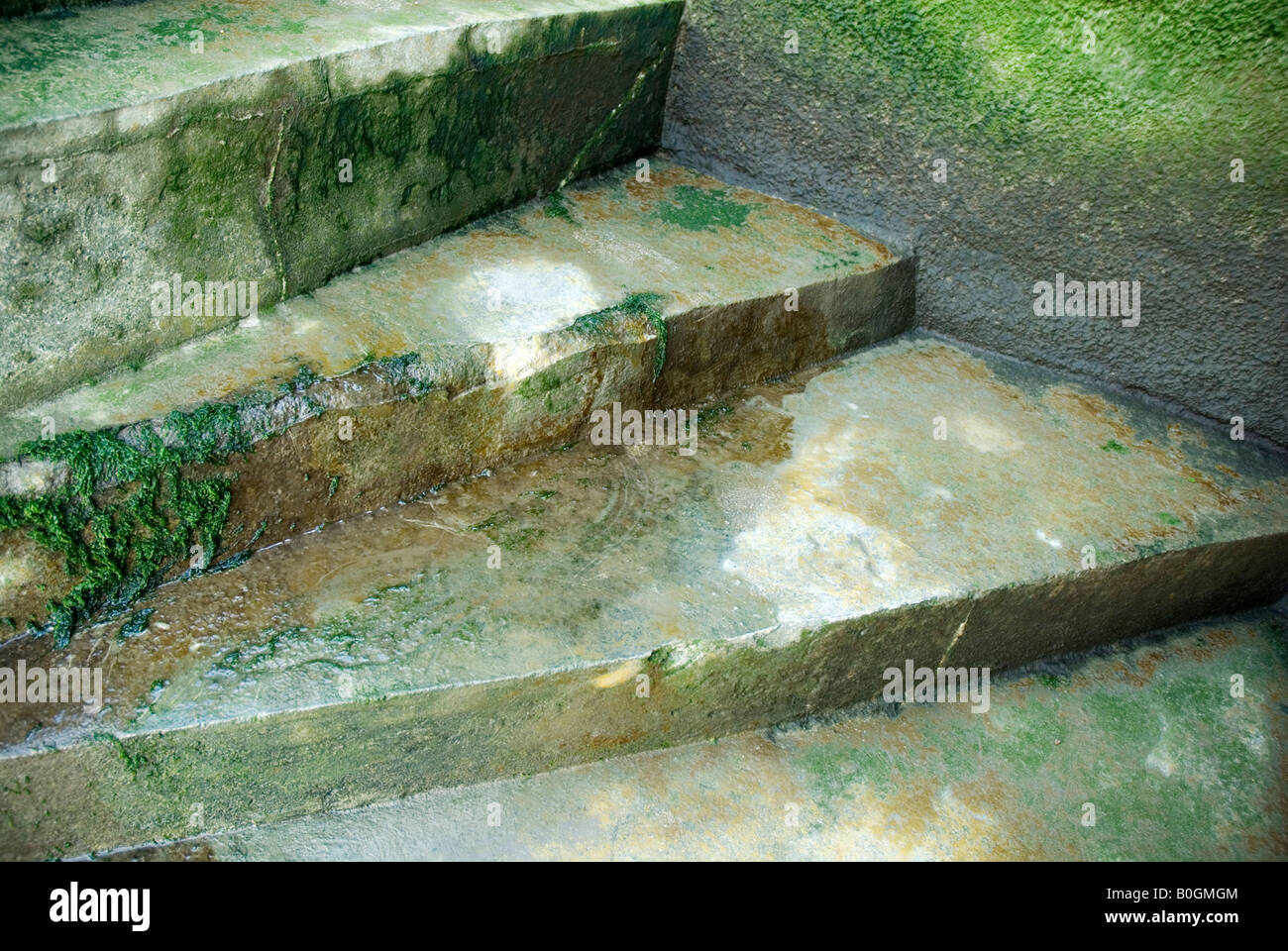 Algae covered steps hi-res stock photography and images - Alamy