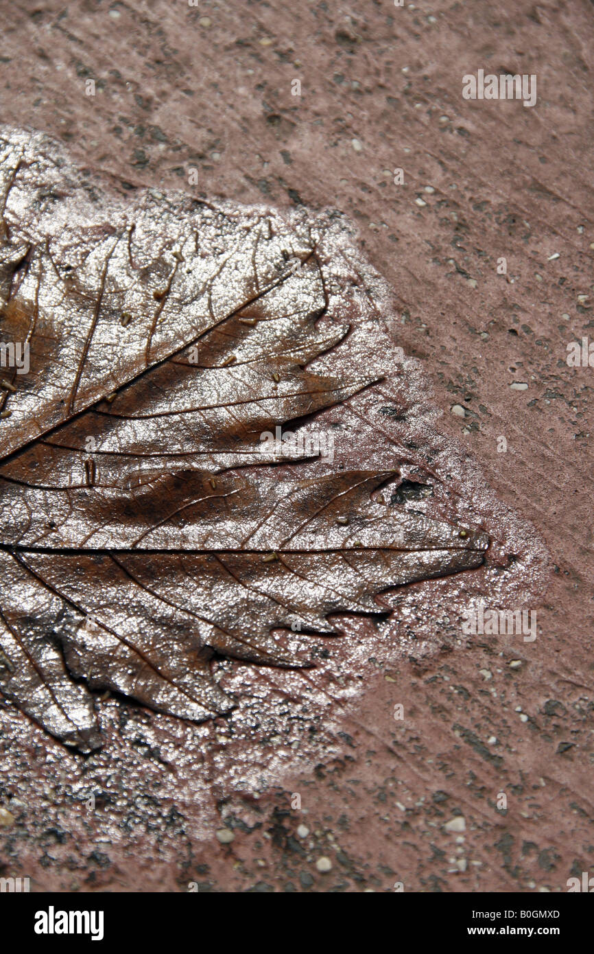 one single fallen leaf on wet road Stock Photo - Alamy