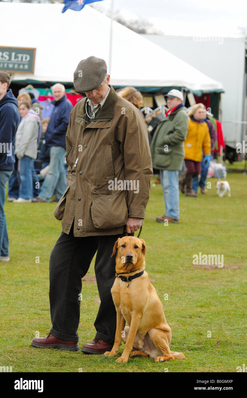 Belton house dog hi-res stock photography and images - Alamy