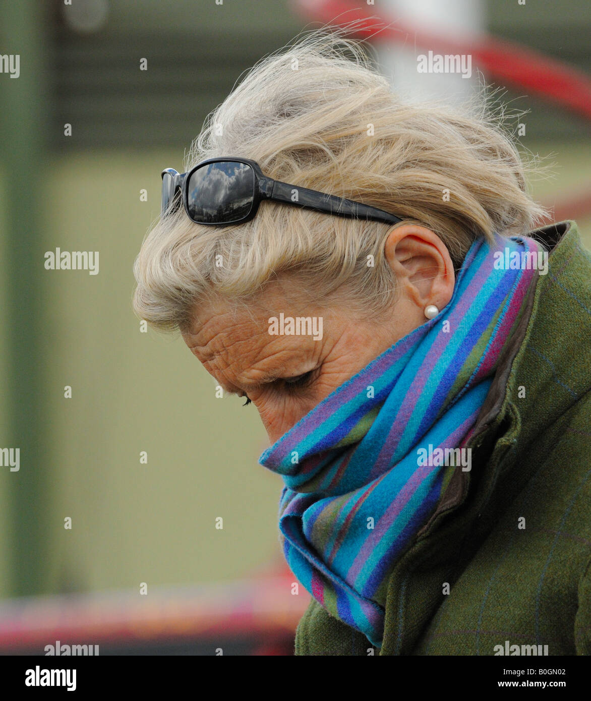 Lucinda green hi-res stock photography and images - Alamy