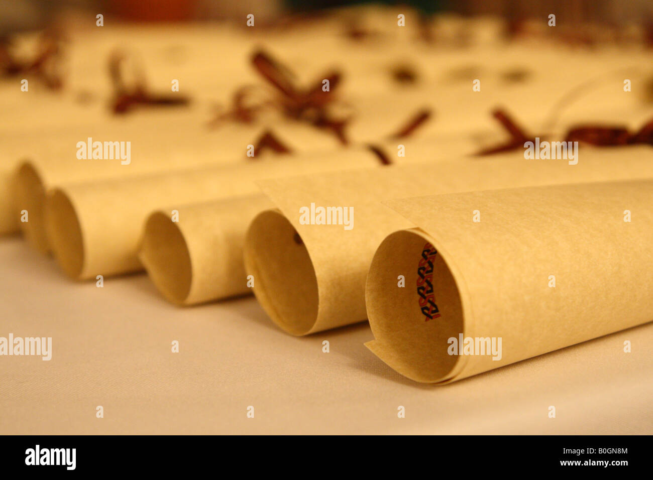 Degree papers hi-res stock photography and images - Alamy