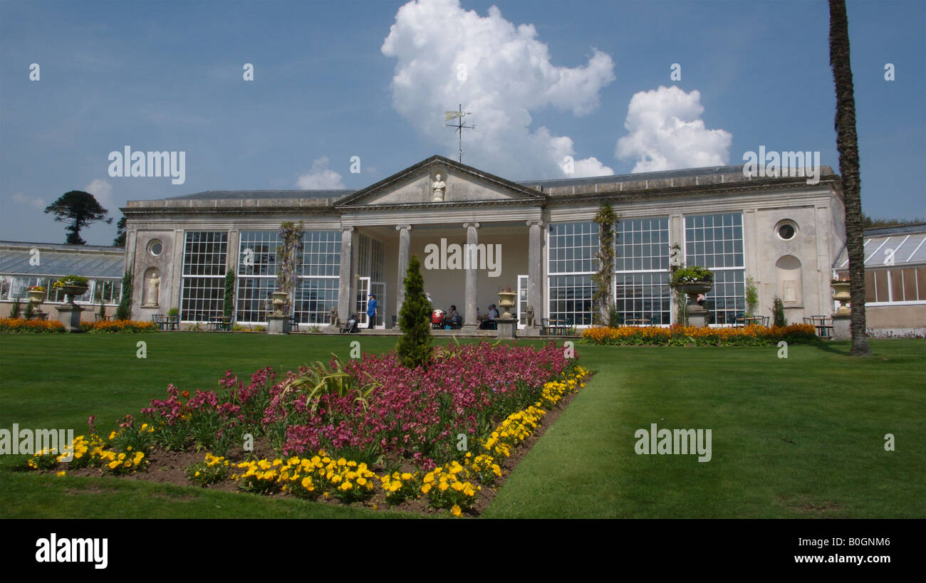 The Orangery at Bicton Botanical Gardens Exeter Devon UK Stock Photo ...