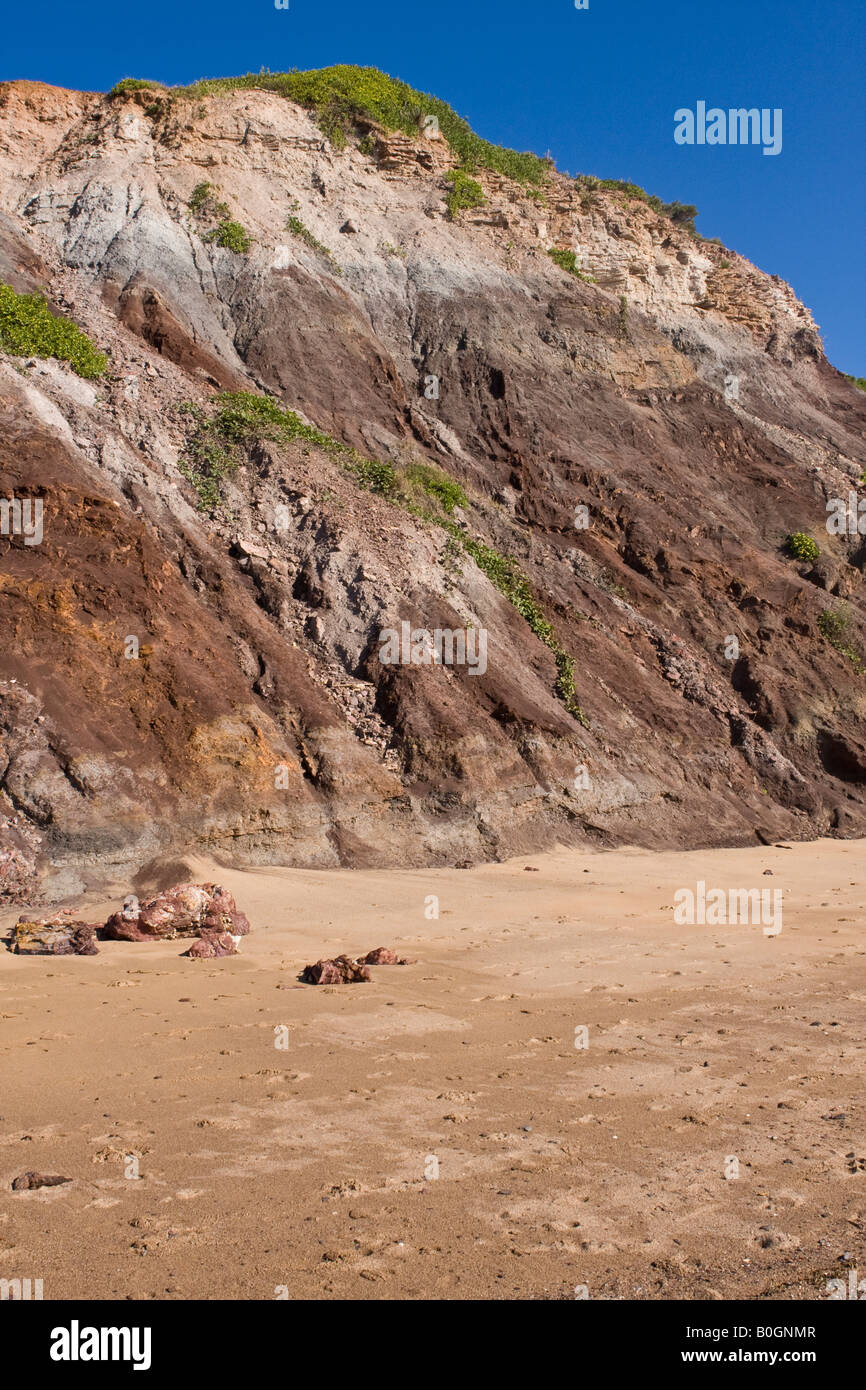 Collaroy beach australia hi-res stock photography and images - Alamy