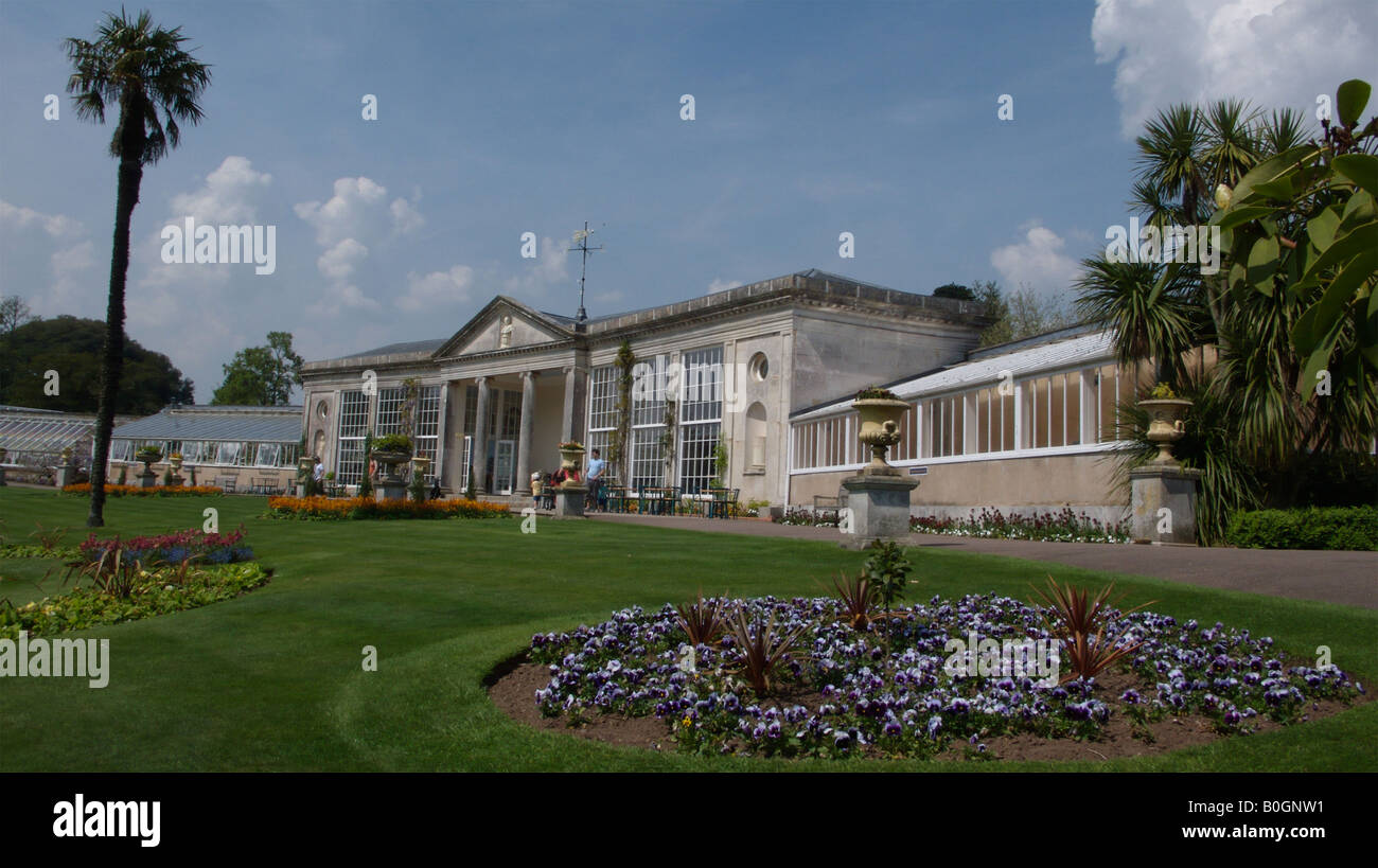 The Orangery at Bicton Botanical Gardens Exeter Devon UK Stock Photo ...