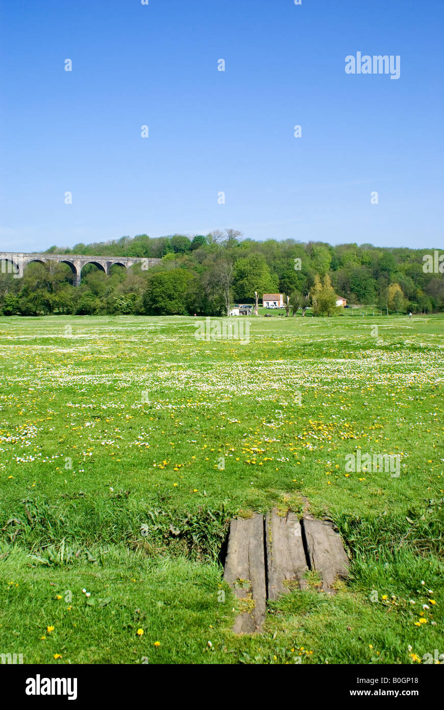 porthkerry park barry vale of glamorgan south wales Stock Photo - Alamy