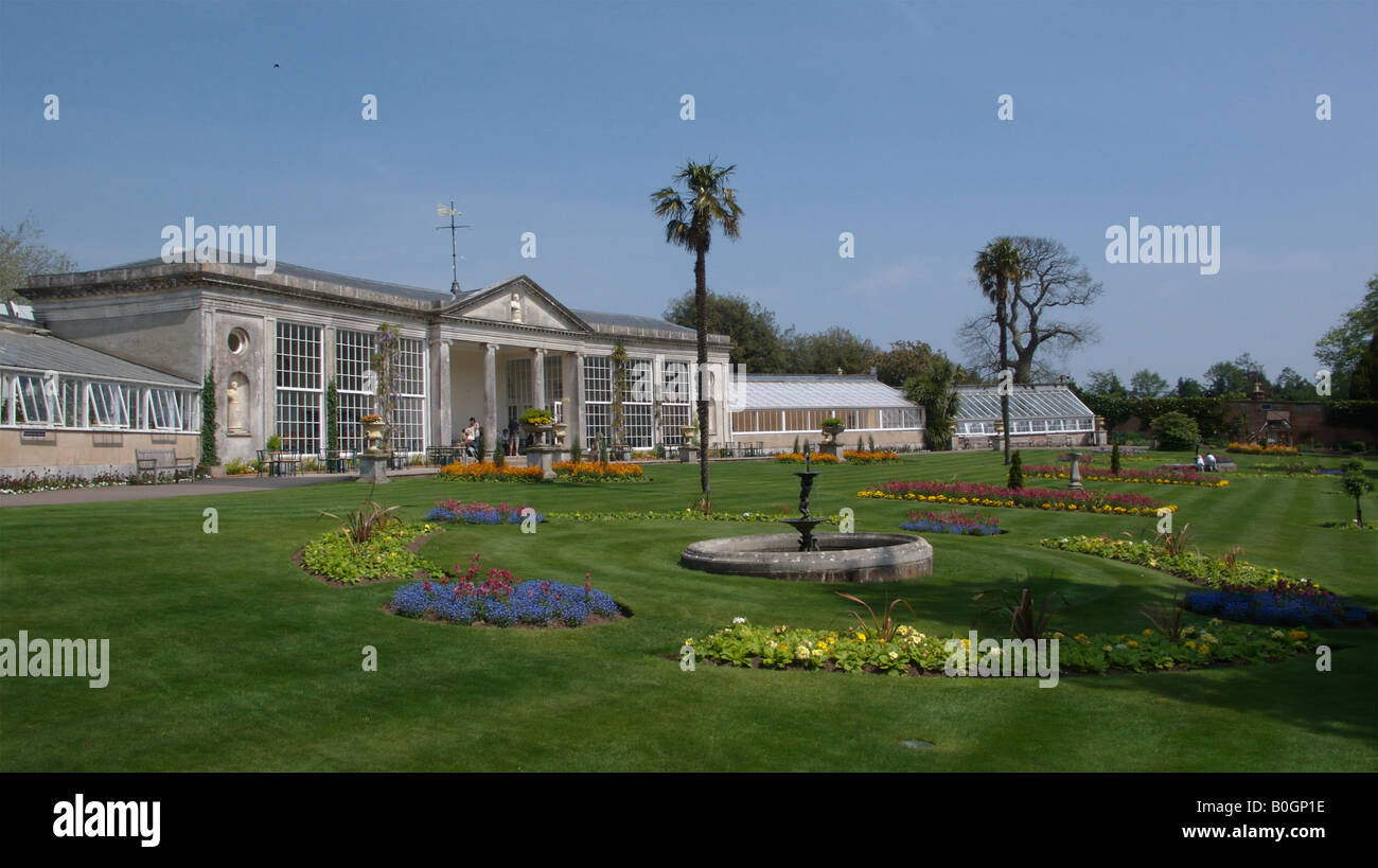 The Orangery at Bicton Botanical Gardens Exeter Devon UK Stock Photo ...