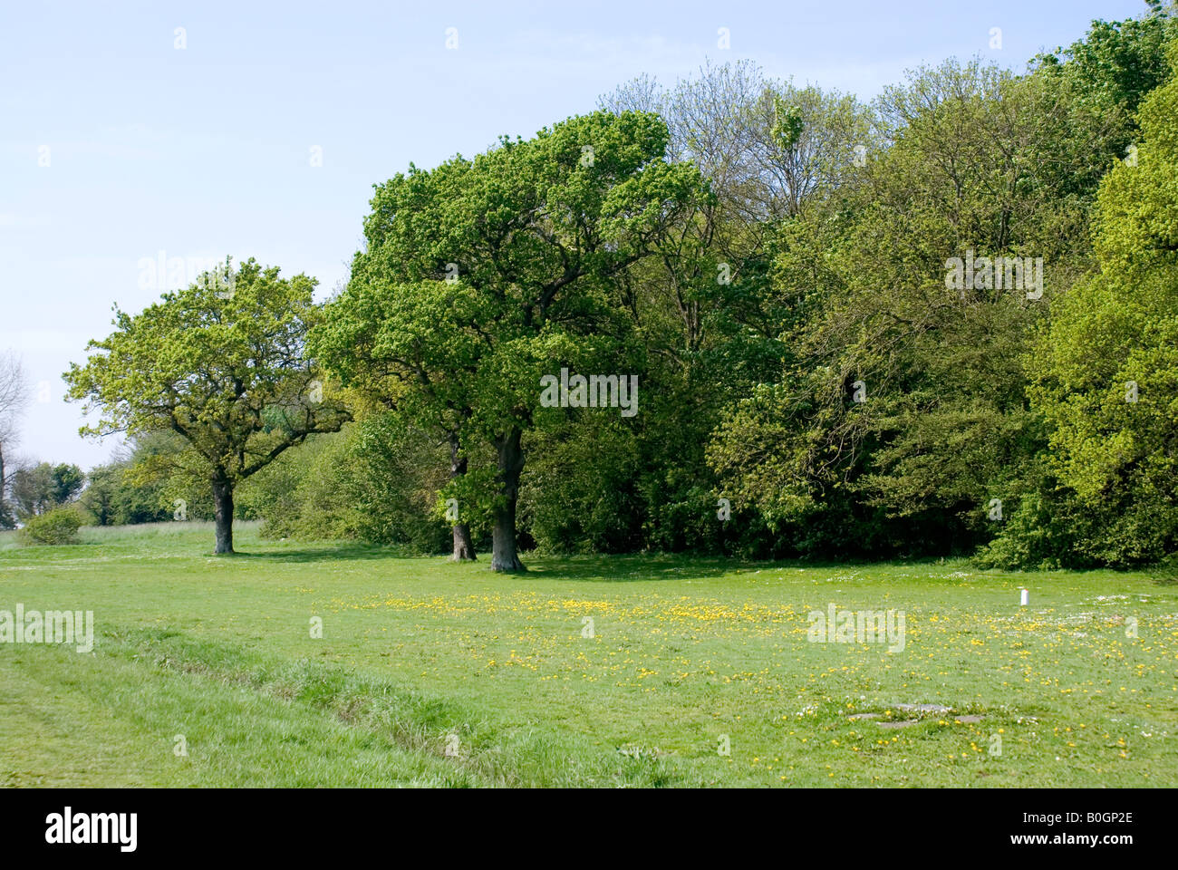 Porthkerry country park hi-res stock photography and images - Alamy