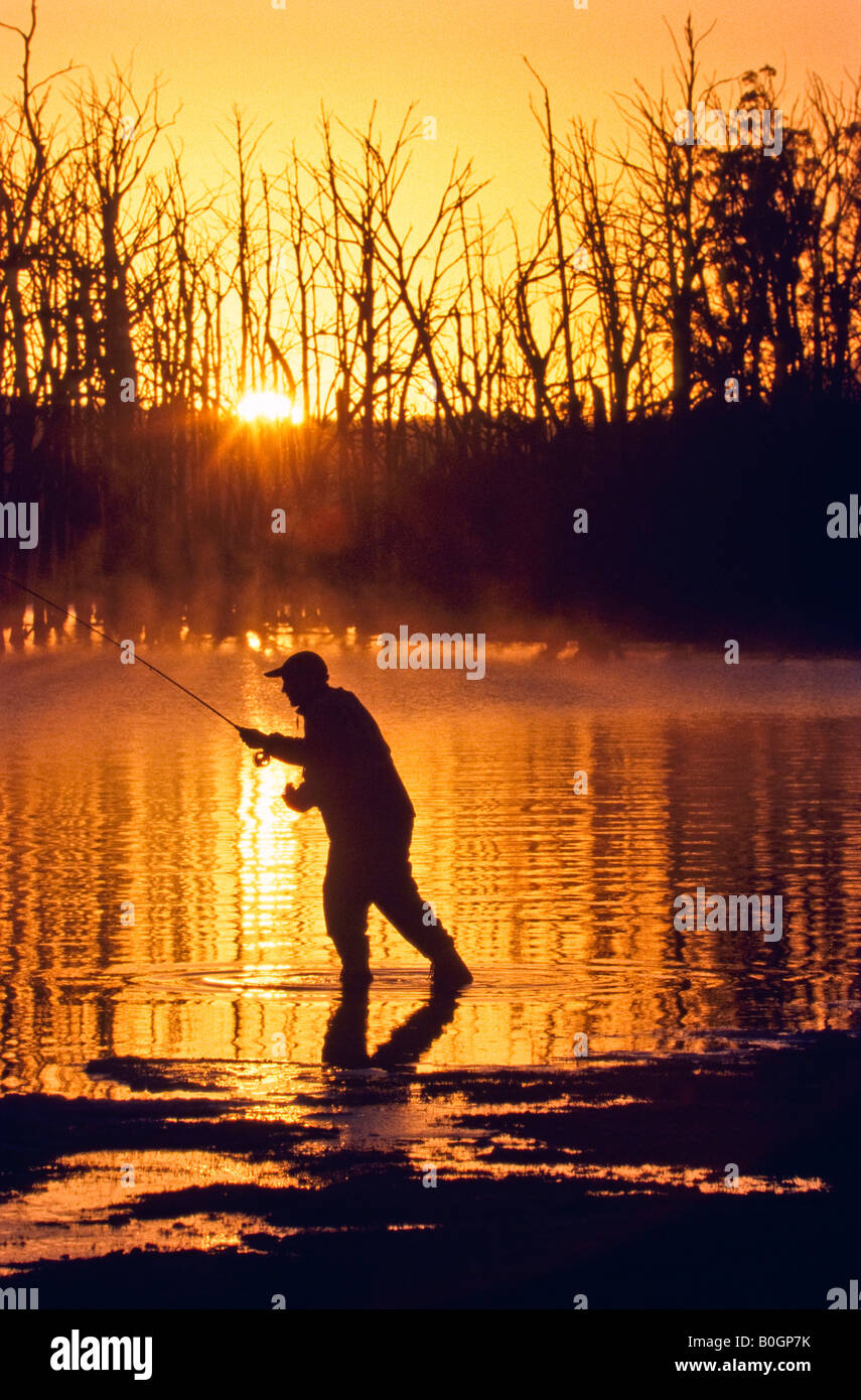 Trout fly fishing outline hi-res stock photography and images - Alamy