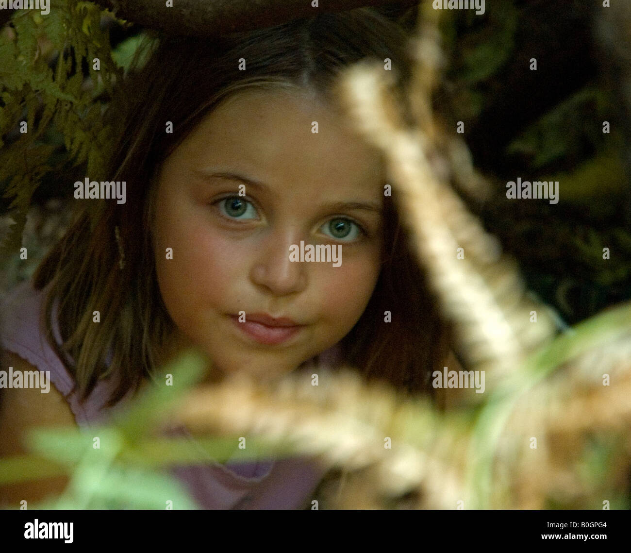 Hiding den hi-res stock photography and images - Alamy