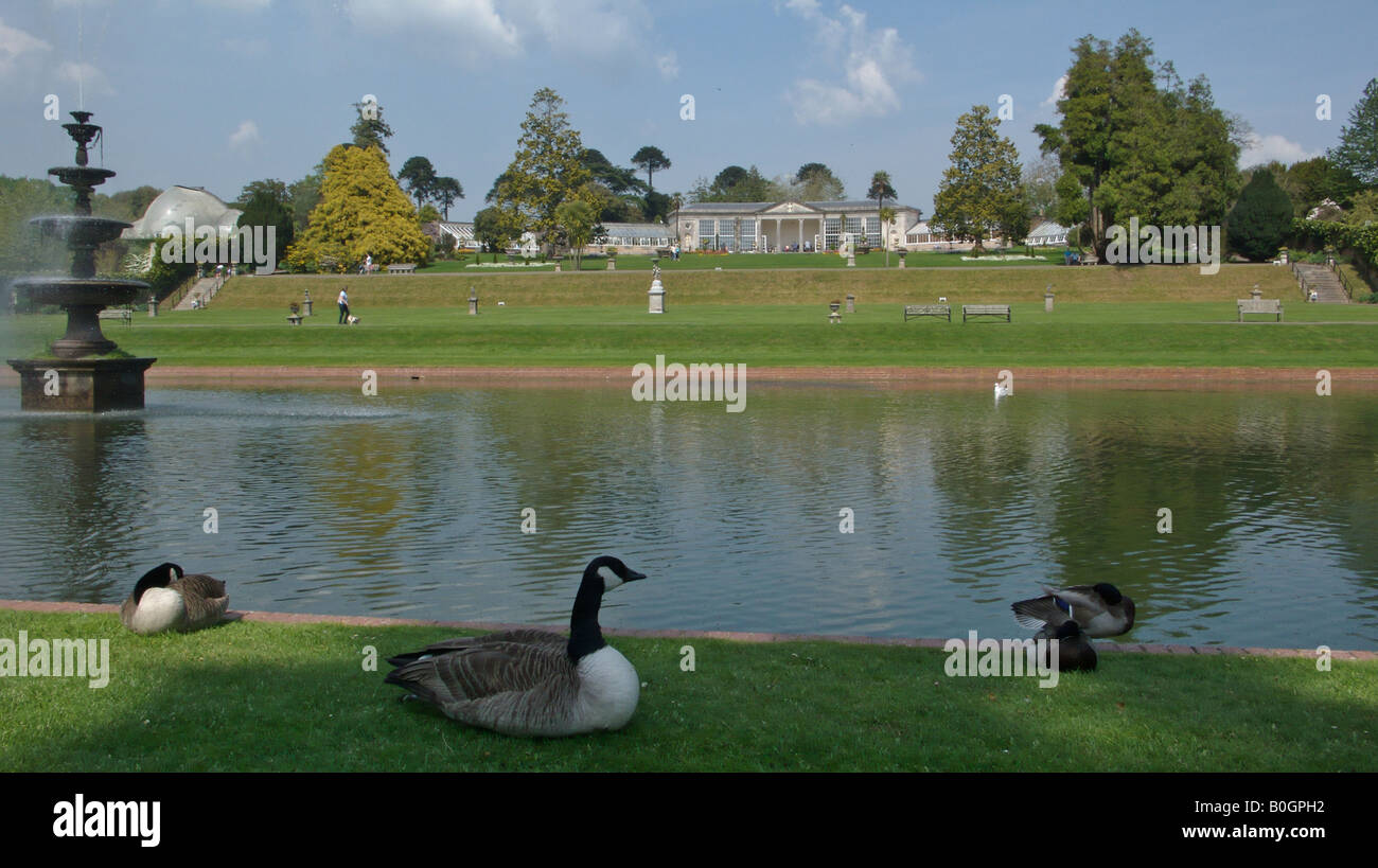 The Orangery at Bicton Botanical Gardens Exeter Devon UK Stock Photo ...
