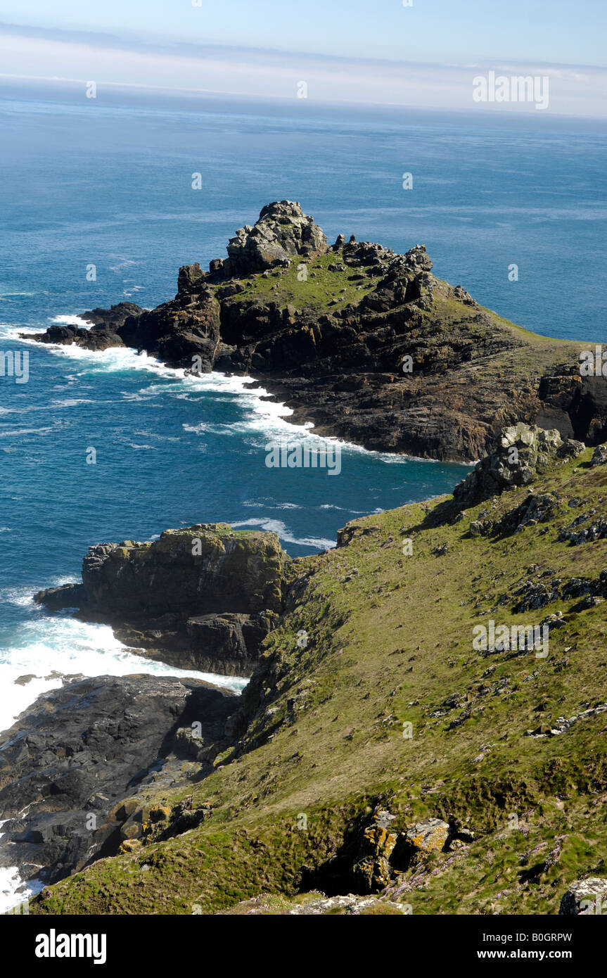 Gurnards hi-res stock photography and images - Alamy